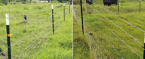 La cerca para la finca. Los diferentes tipos - Notiagro